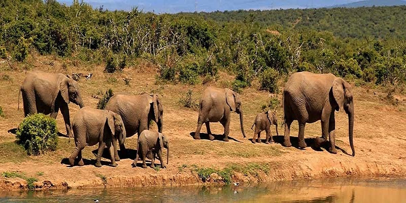 Educational Resources - WJEC / Adnoddau Addysgol - CBAC